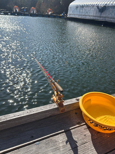 極寒の中で挑戦！兵庫県での冬のヘラブナ釣り体験 – つり具のBunBun.com